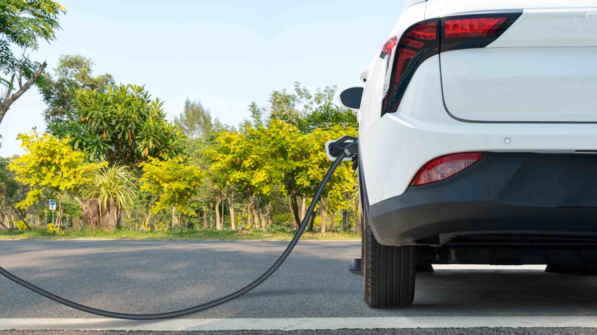 Top Reasons To Start Driving An Electric Vehicle in 2024 | Carnex Blog